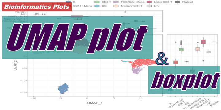 scRNA-seq UMAP图上也能加箱线图 - 知乎