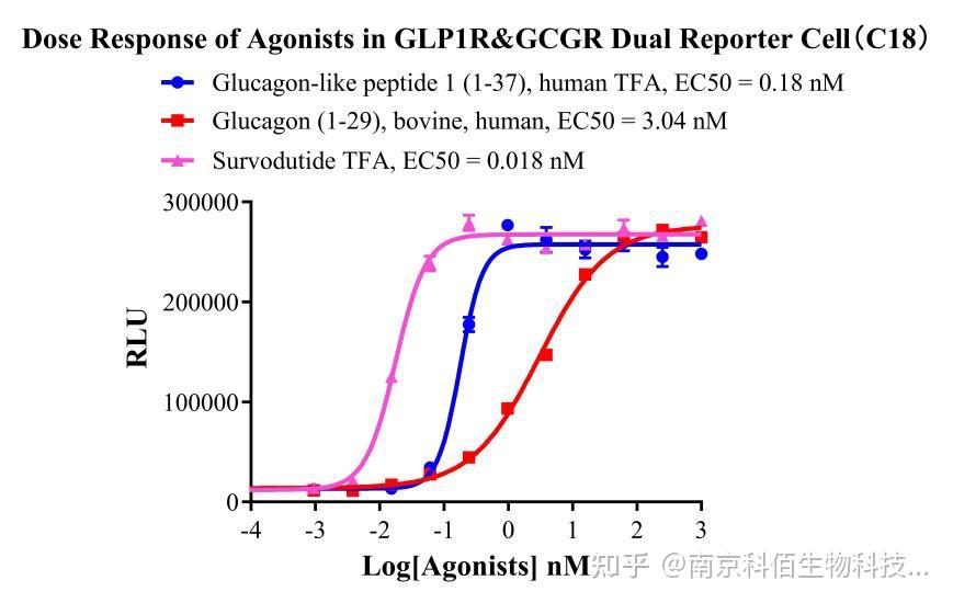 药靶细胞模型---GLP-1R、GCGR、GIPR多靶点激动剂与代谢疾病 - 知乎
