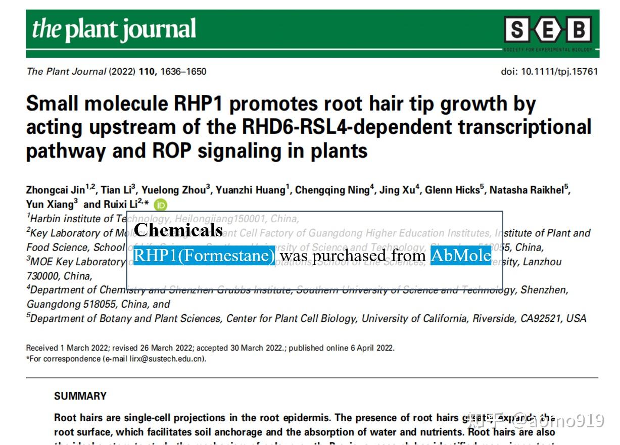 AbMole科研-小分子RHP1通过作用于RHD6-RSL4依赖的转录途径和ROP信号通路的上游来促进植物根毛尖的生长 - 知乎