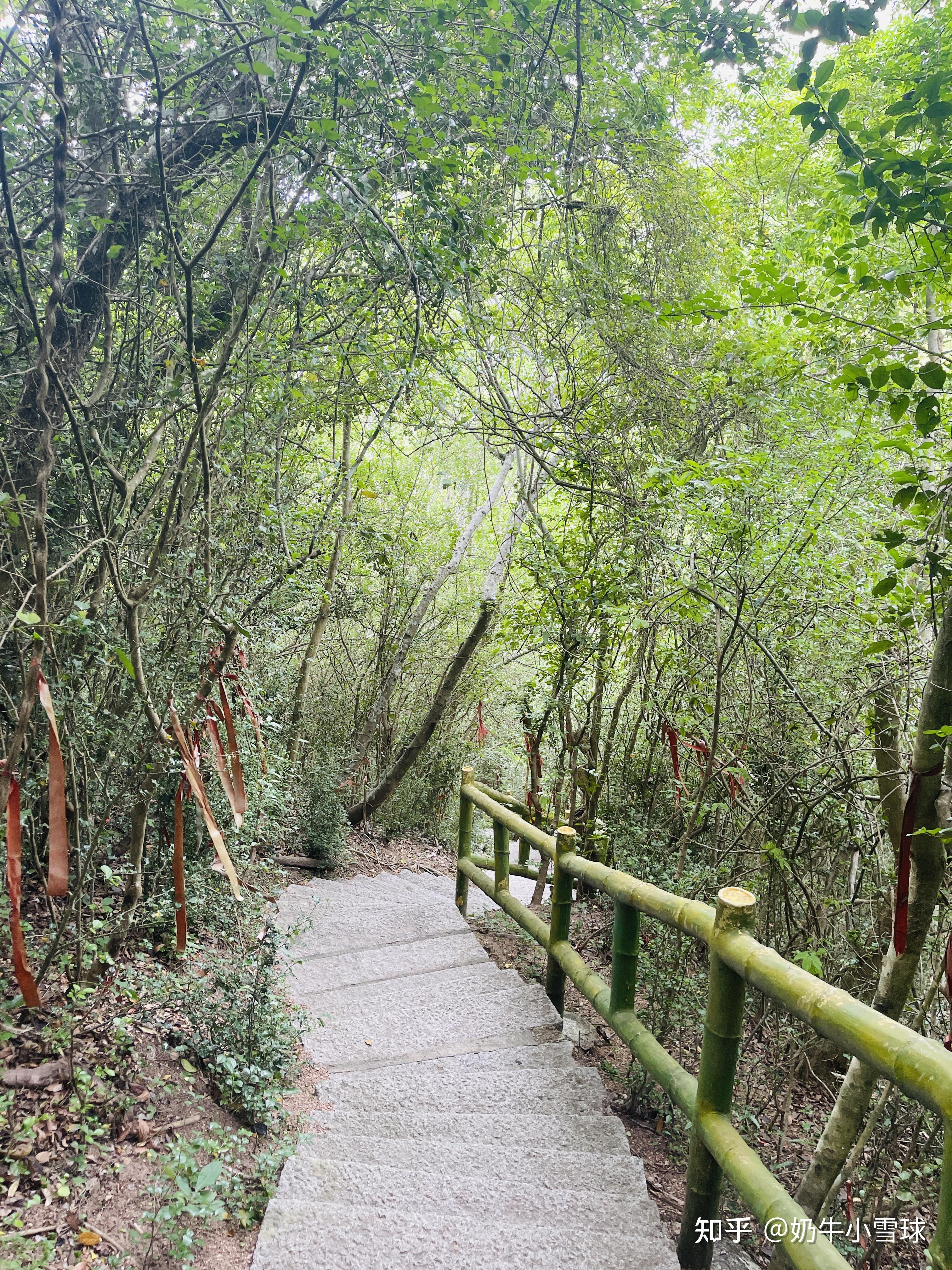 海南导览：三亚南山 - 知乎