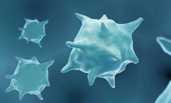 eLife | AI影像对巨噬细胞进行分类 - 知乎