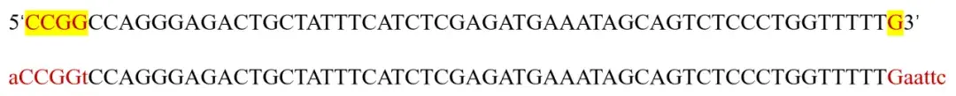 手把手教学｜shRNA设计步骤及注意事项 - 知乎