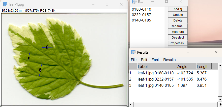 ImageJ粒径分布-手动测量 - 知乎