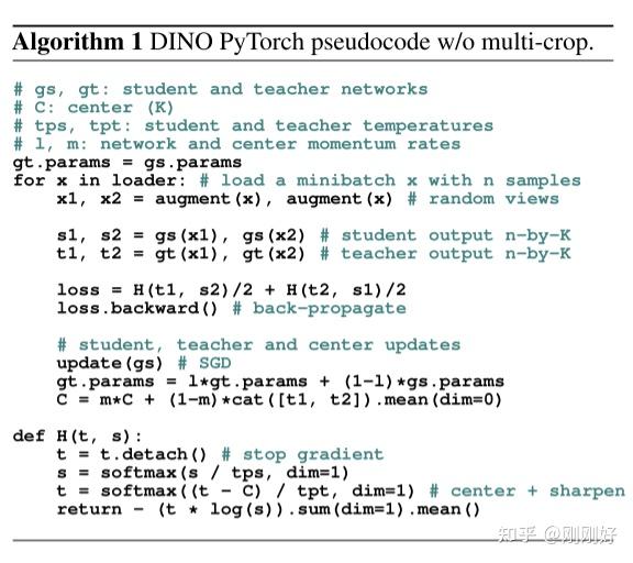 对比学习之DINO系列 - 知乎