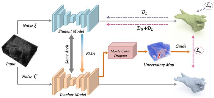 [论文笔记] Uncertainty-aware Self-ensembling Model for Semi-supervised 3D ...