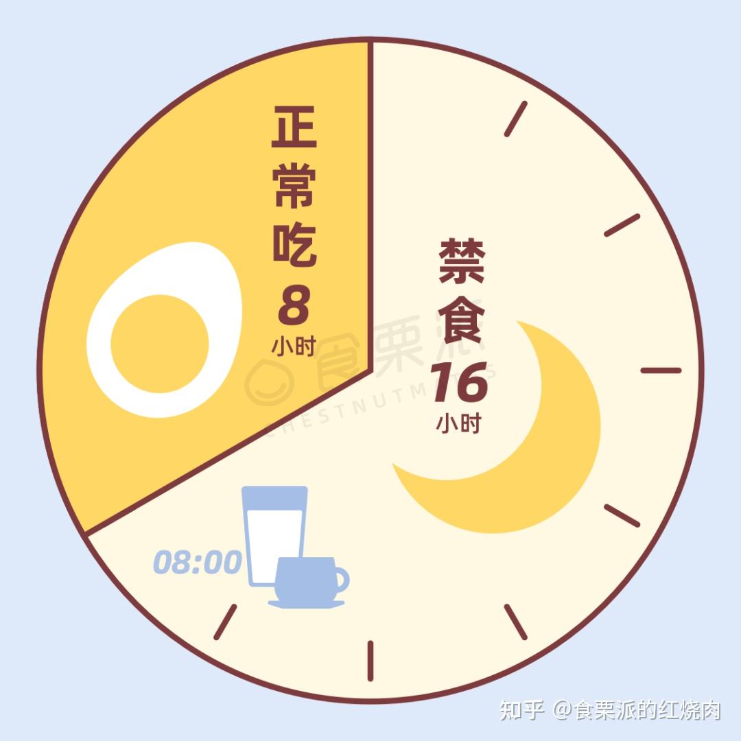 168轻断食有用吗？ - 知乎