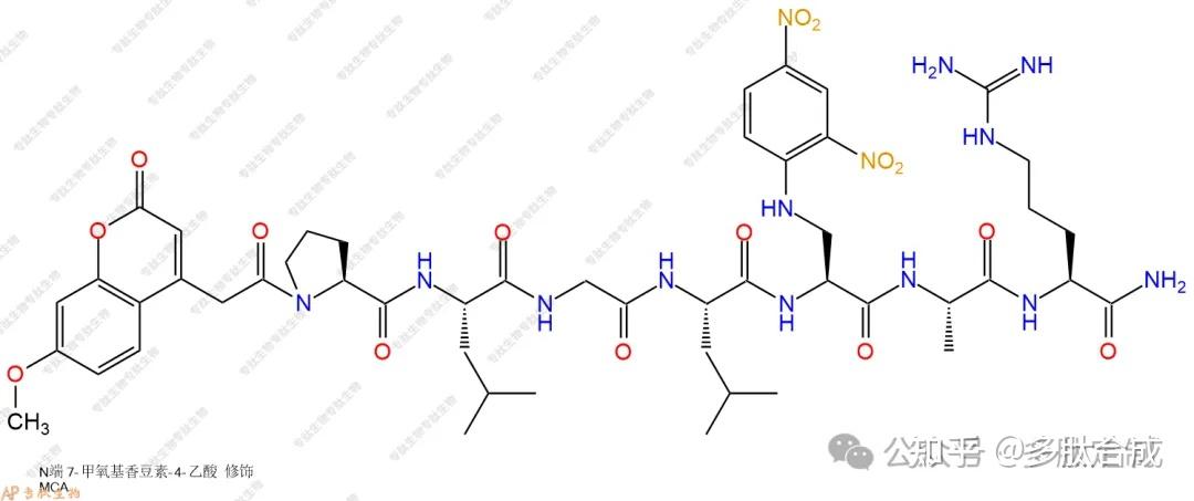 MMP荧光底物多肽，1135689-33-6，Mca-PLGL-Dap(Dnp)-AR-NH2 - 知乎