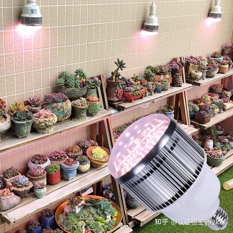 亚马逊美国站植物灯UL认证标准UL8800安全测试 亚马逊家电类产品UL认证标准 - 知乎