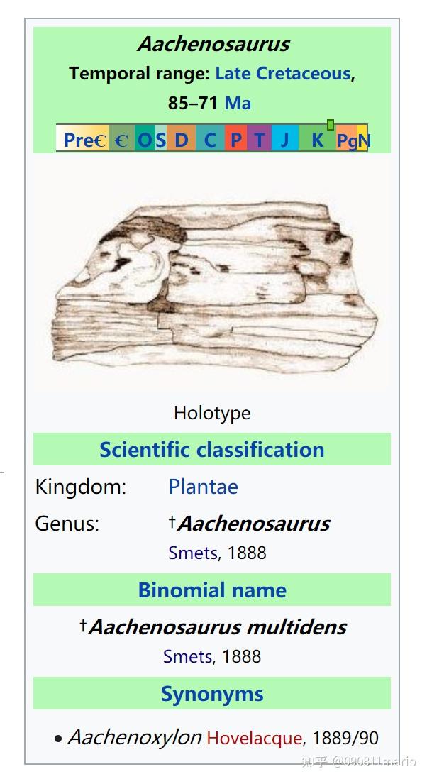 你见过哪些比较「有意思」的古生物名字，背后有着怎样的故事？ - 知乎