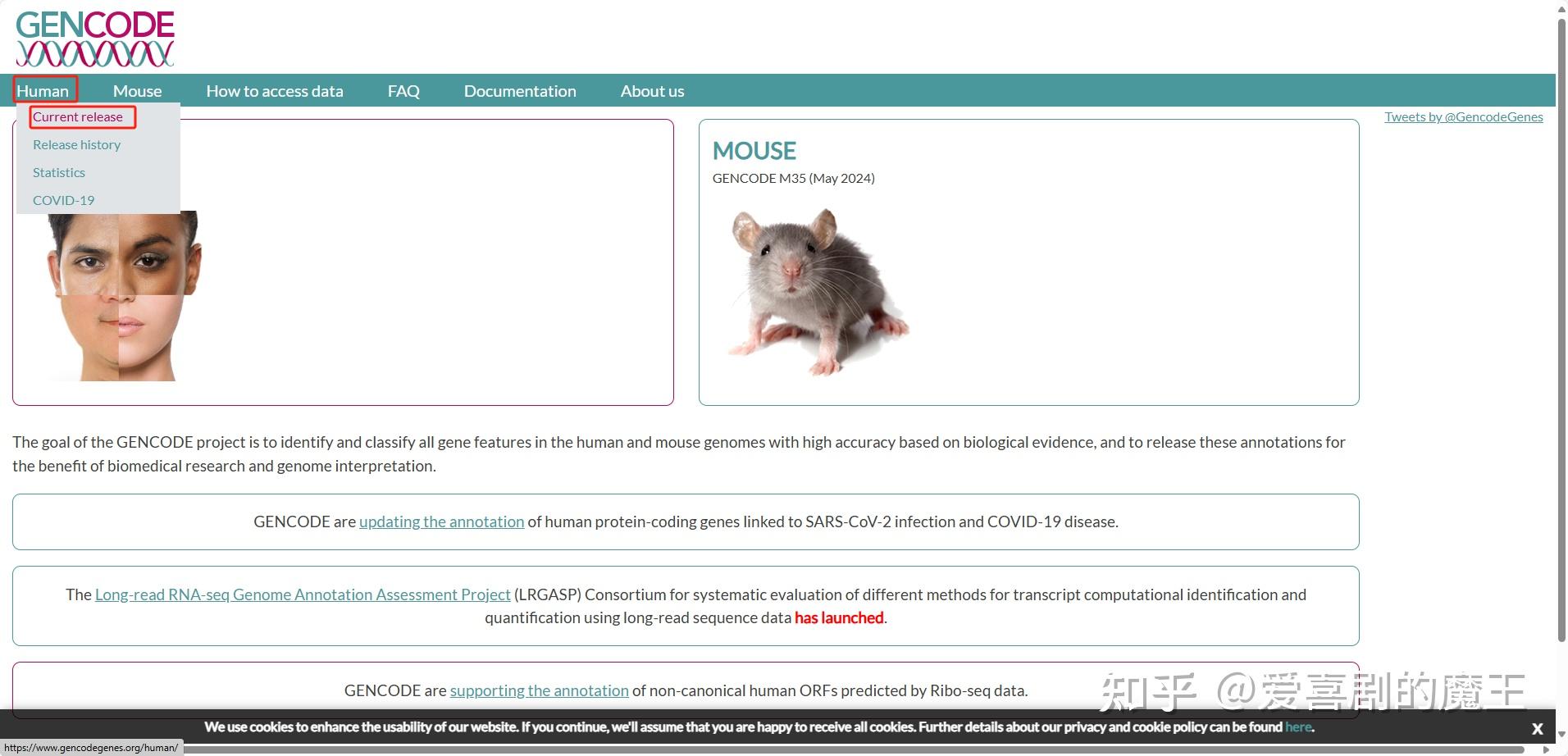 生物信息学入门——参考基因组下载 - 知乎