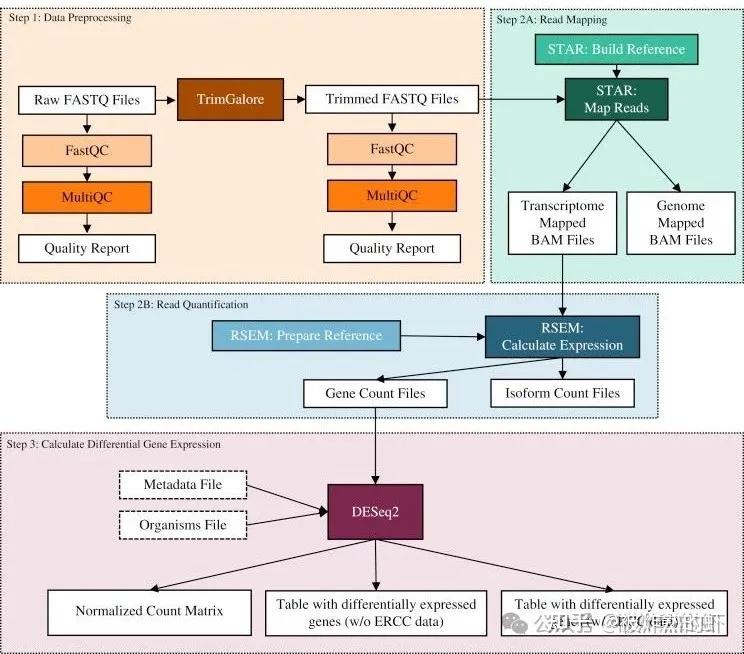 bulk RNA-seq | 下游分析 | 差异分析 DESeq2 - 知乎
