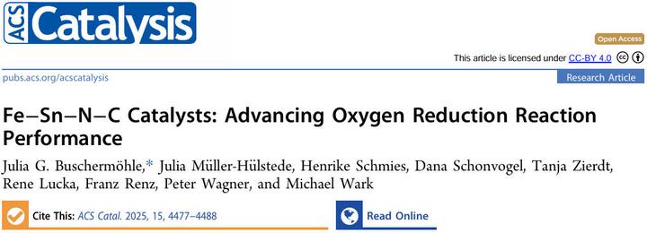ORR最新ACS Catal.：Fe-Sn-N-C催化剂，提升氧还原反应性能 - 知乎
