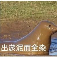 一文搞懂CGI, FastCGI, WSGI, uWSGI, uwsgi - 知乎