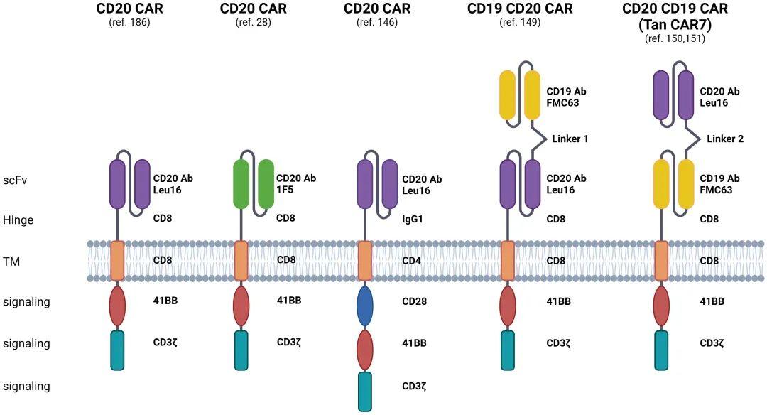 CD20在癌症免疫治疗中的最新应用汇总 - 知乎