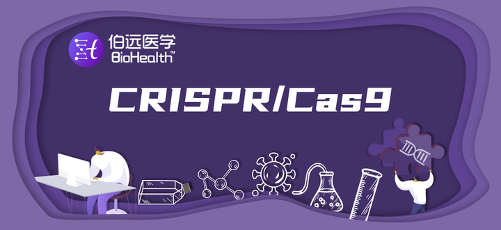 CRISPR/Cas9基因编辑技术的应用 - 知乎
