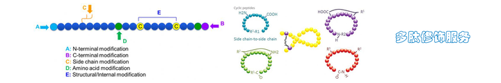 MAPs复合抗原肽|Multiple-Antigen peptides - 知乎