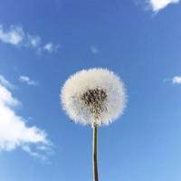 supported starting with Android O (–min-api 26) - 知乎