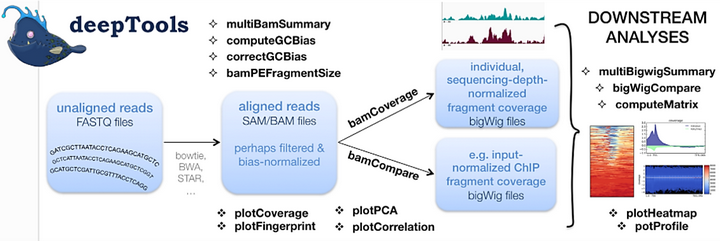 生信小白学生信——ChIP-seq和CUT&Tag数据分析 - 知乎