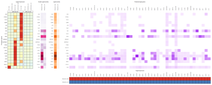 10X单细胞（10X空间转录组）通讯分析之总结Nichenet多条件差异通讯 - 知乎