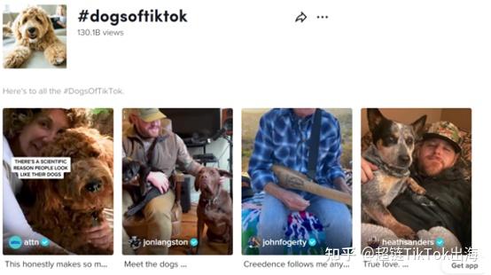 TikTok新宠 |宠物类产品将在TikTok Shop 英国站推出！ - 知乎