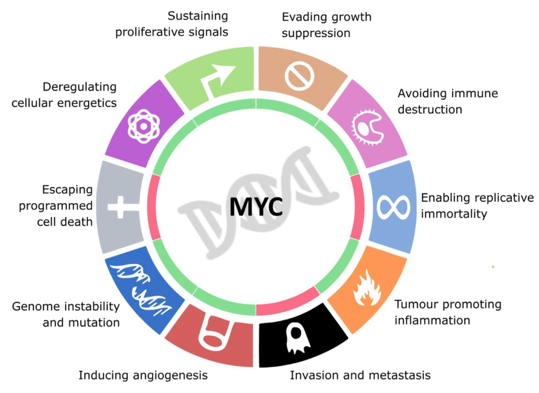 从0到0.1 | MYC成药的一小步 - 知乎