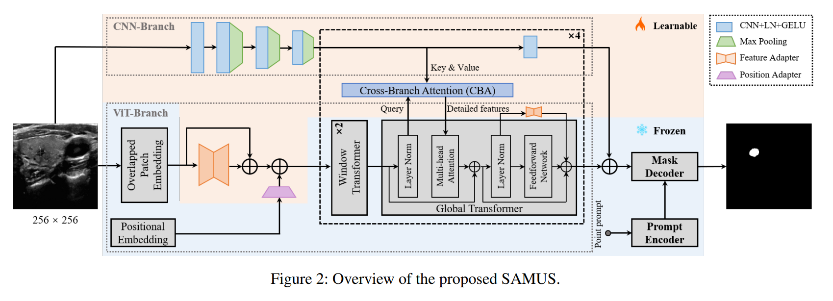 SAM在医学影像中的应用（最新） - 知乎