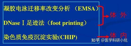 能讲解一下ChIP qPCR实验的详细步骤吗? - 知乎