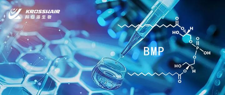 溶酶体“清道夫”BMP：从基础机制到临床新机遇 - 知乎