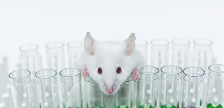 实验动物相关的两大认证：AAALAC与CNAS - 知乎