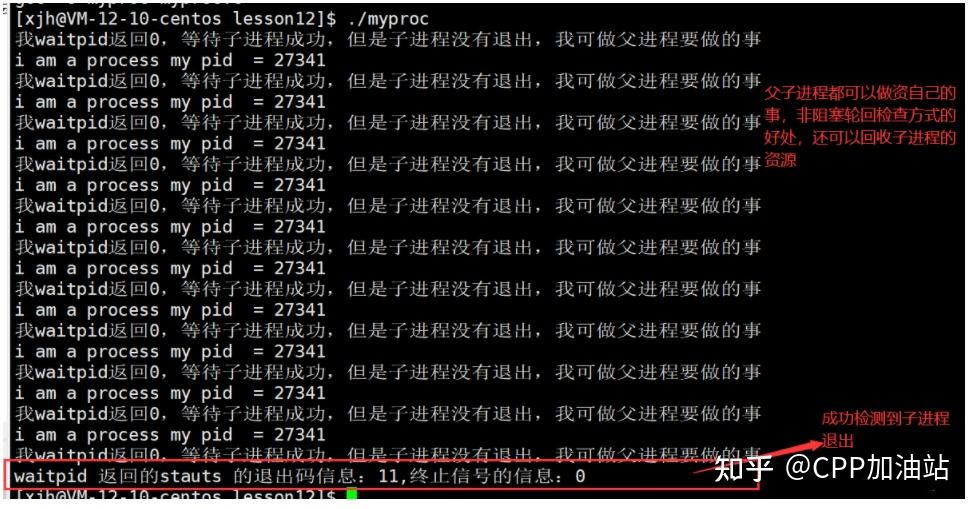 【Linux】进程控制（wait 和 waitpid）的理解和使用 - 知乎