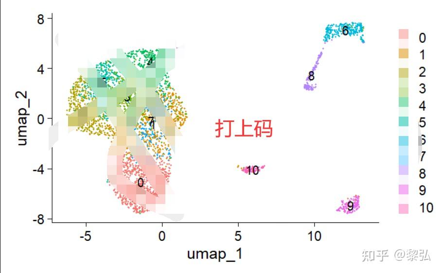 单细胞数据分析流程（cellranger、Seurat、singleR） - 知乎