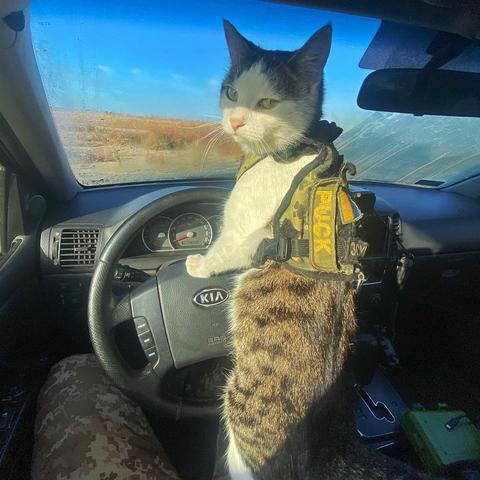 Dr.Boomer - 知乎