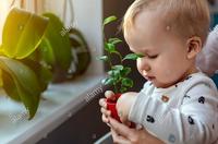 英文文法: “would not/wouldn’t” 意思和用法 - 知乎