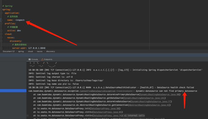 使用若依springcloud微服务框架，报错 Caused by: com.baomidou.dynamic.datasource.exception ...