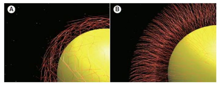 DSPE-PEG的结构与纳米载体性能之间的关系，以及DSPE-PEG及其衍生物在给药系统中的最新进展 - 知乎