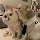 【IC每日一题：AMBA总线--APB协议时序及Verilog实现】 - 知乎