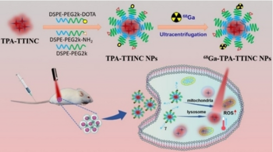 纳米探针 | 利用放射性标记AIE探针作为PET/NIR-II荧光引导光热治疗的双模成像剂 - 知乎