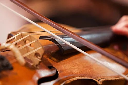 Why Violin Bows Are So Expensive - 知乎