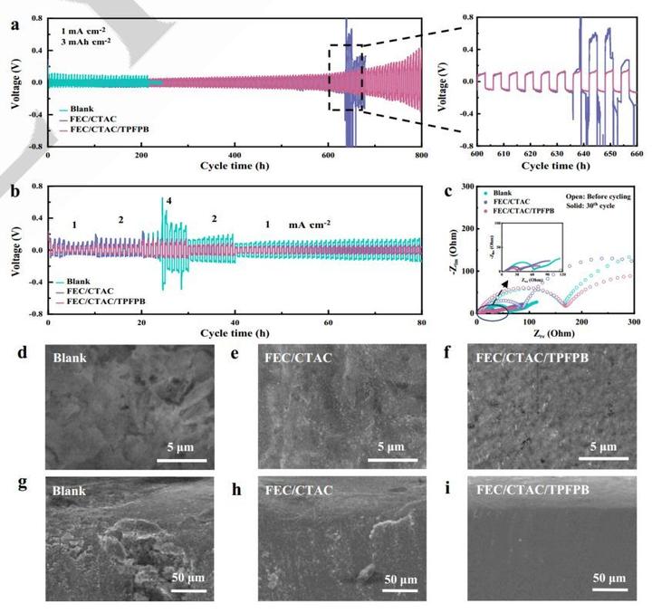 首效98%，能量密度522Wh/kg！江苏师大&浙江大学，最新Angew！ - 知乎