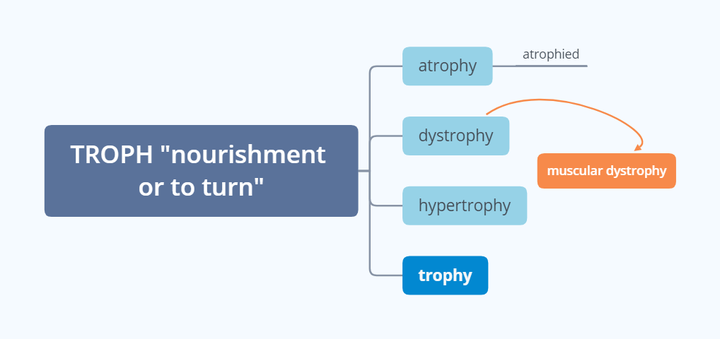 词根系列 | TROPH "nourishment" - 知乎