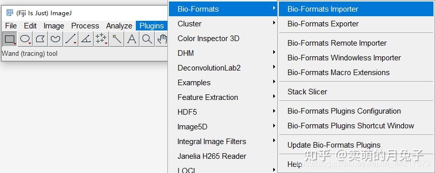 如何用imagej打开czi格式的图片？ - 知乎