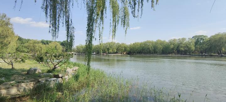 Linux：popen() 获取 ping 命令结果 - 知乎