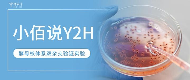 酵母核体系双杂交（Y2H）验证实验 - 知乎