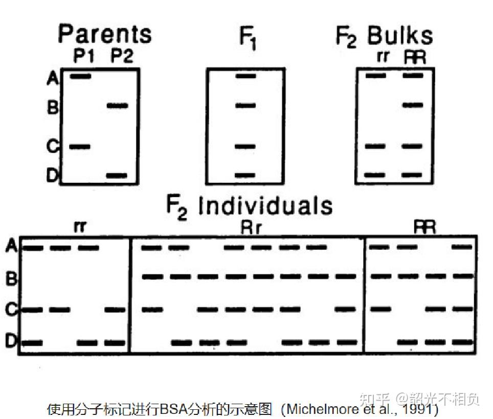 BSA分析（一）——原理及发展史 - 知乎