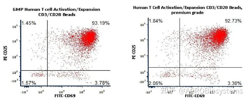 小磁珠大能量——GMP级别CD3/CD28抗体偶联磁珠 - 知乎