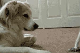 老外说"stand you up"可不是“要你站起来”，真正意思太气人！ - 知乎