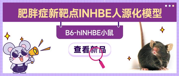INHBE靶点人源化小鼠模型助力肥胖症siRNA疗法研究 - 知乎