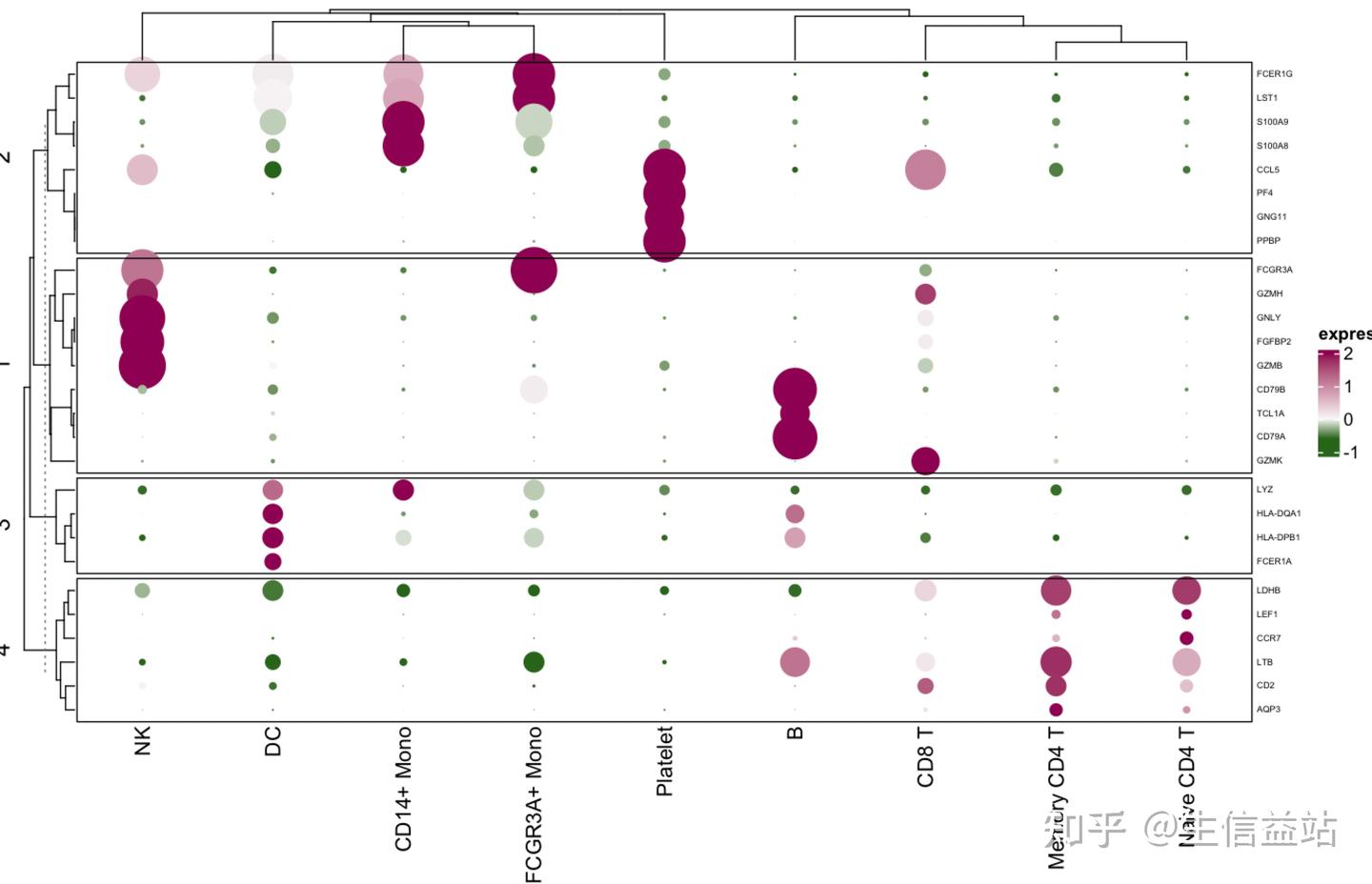 R绘图技巧30| ComplexHeatmap版本的复杂DotPlot(一) - 知乎