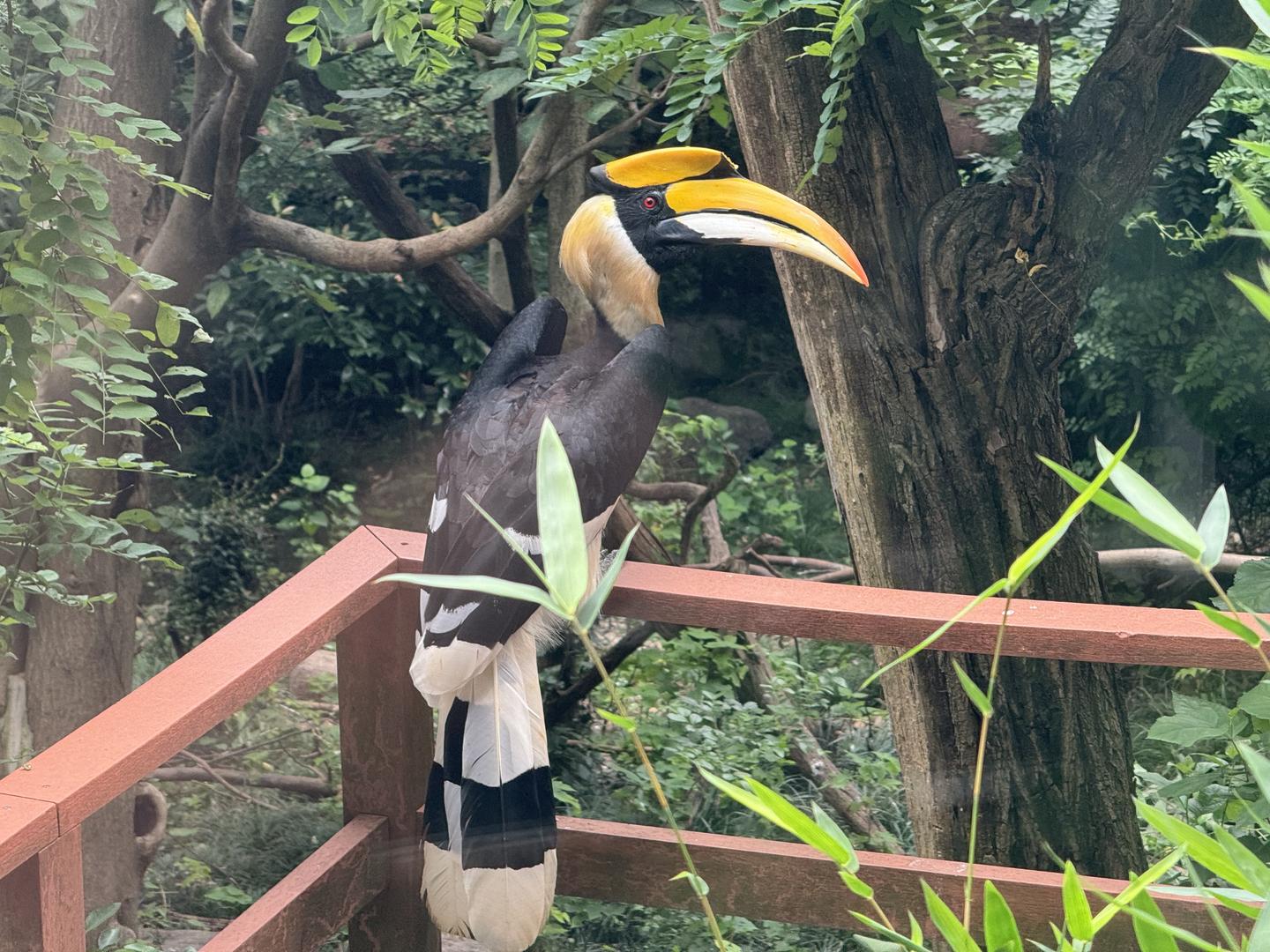 算法学习笔记（六）float32、float16和bfloat16 - 知乎