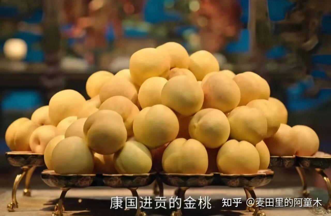 撒马尔罕的金桃：大唐西域的魔幻与现实 - 知乎
